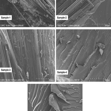 Sem Morphology Of Epoxy Based Laminates Download Scientific Diagram