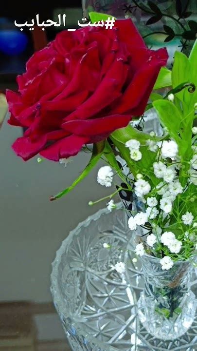 كل عام و كل الامهات بخير Youtube