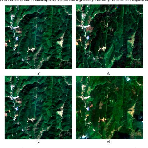 Figure 1 From Tree Species Classification Of Forest Stands Using