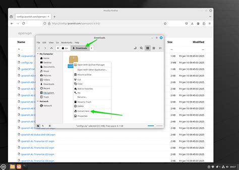 OpenVPN Setup In Linux Mint IPVanish