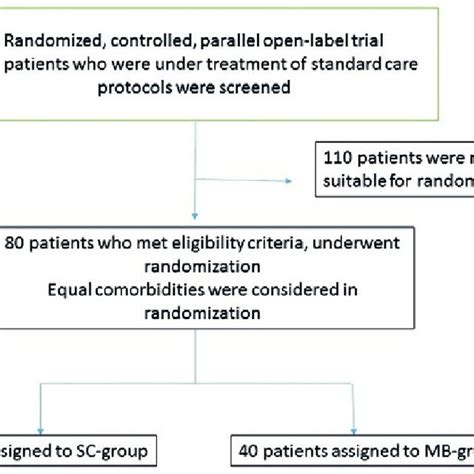 Randomization And Treatment Assignment Download Scientific Diagram