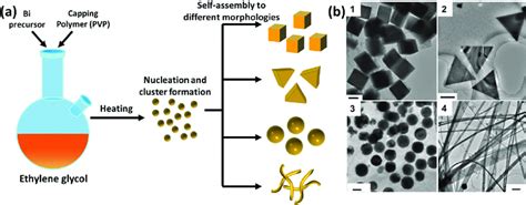 A A Schematic Diagram Of The Polyol Process For The Synthesis Of