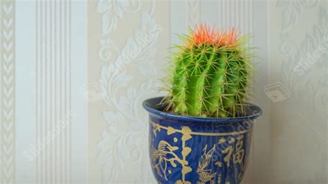 White Frame Building Classical Texture Borders Pattern Powerpoint