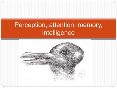 Perception Attention Memory Intelligence