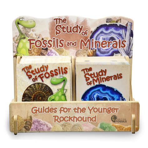 The Study Of Fossils And Minerals Wooden Book Stand British Fossils