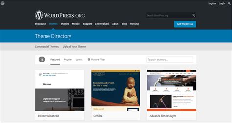5 Ways To Create Your Own Wordpress Theme From Scratch Globinch
