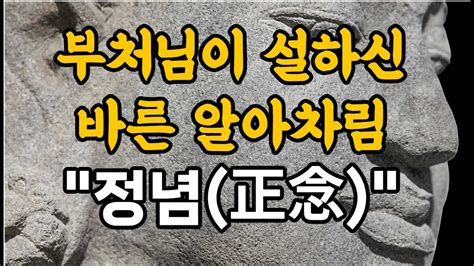 부처님이 설하신 바른 알아차림 정념 正念 알기쉬운 반야심경 YouTube