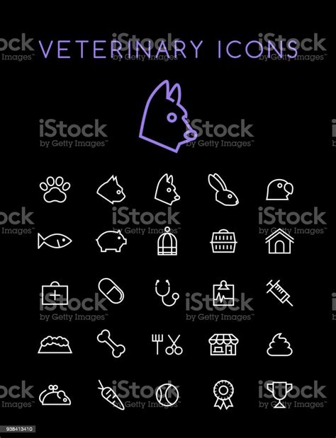 검은 배경에 품질 보편적인 표준 최소한의 간단한 흰색 얇은 라인 수의 아이콘 세트 가방에 대한 스톡 벡터 아트 및 기타 이미지 가방 개 개 사육장 Istock