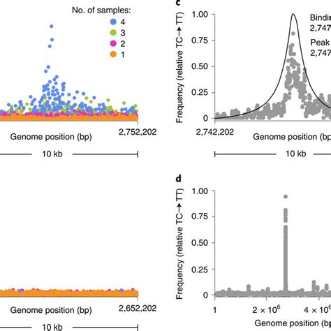 statistical analyses and data filtering for enhanced 3d seq