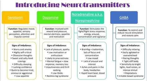 Introducing Neurotransmitters Psychoeducation Function Of Serotonin Dopamine Gaba And N