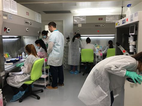 Methods In Stem Cell Engineering Teenlife