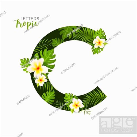 Exotic Tropical Alphabet Letter C Floral Font Letter With Palm Stock Vector Vector And Low
