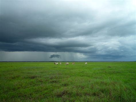 Free Images Grass Horizon Marsh Cloud Sky Field Meadow Prairie