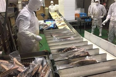 我国冷链物流快速发展冷链物流企业家出国考察交流渐成潮流