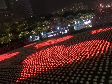 야외 정원 장미 조명 의 고품질 야외 정원 장미 조명