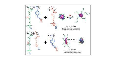 Complex Formation In The Sulfobetaine Containing Entirely Ionic Block