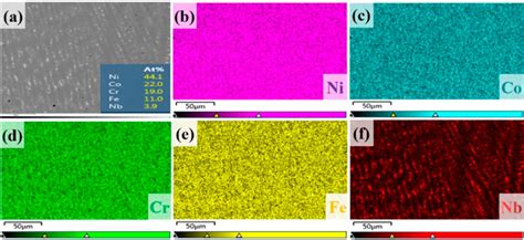 A 1 C 1 Shows The Electron Backscattered Diffraction Ebsd Results