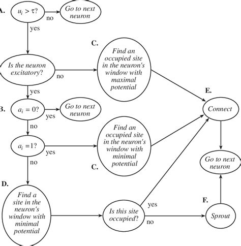 Shown Here Is The Algorithm For The Decision To Sprout Or Connect This