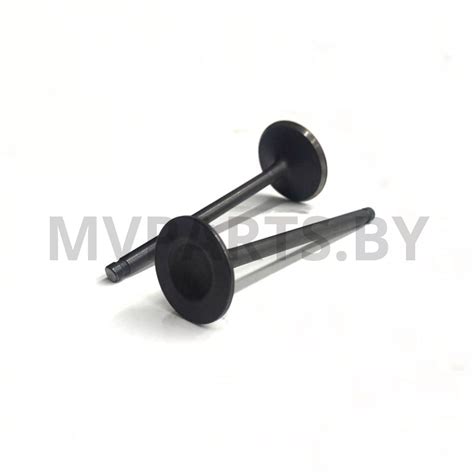 Купить Клапаны ГРМ 172 FMM-3A CB250-F для мотоцикла в Минске, цена ...