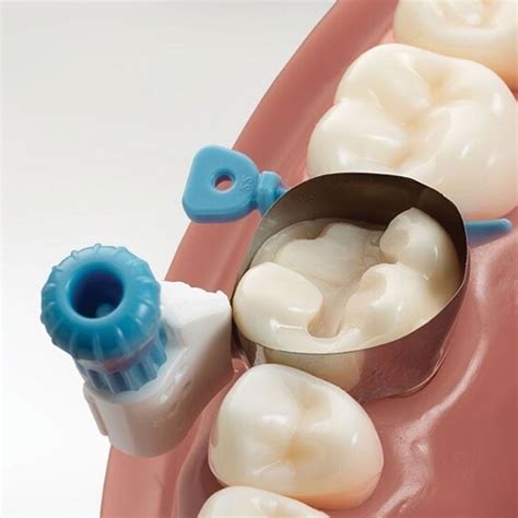 Palodent 360 Intro Kit