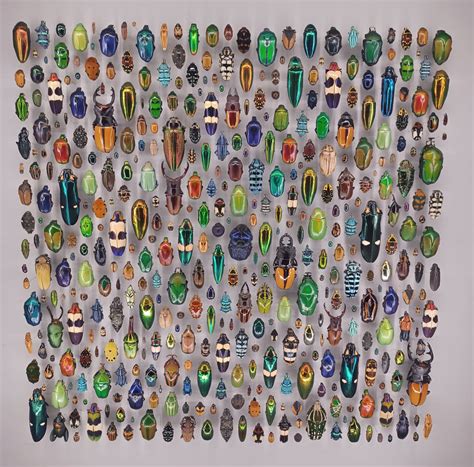 Beetles By Villageofbree On Deviantart