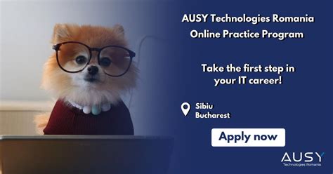 Randstad Digital Romania On Linkedin Ausypracticeprogram Onlinepractice Java Embeddedsystems