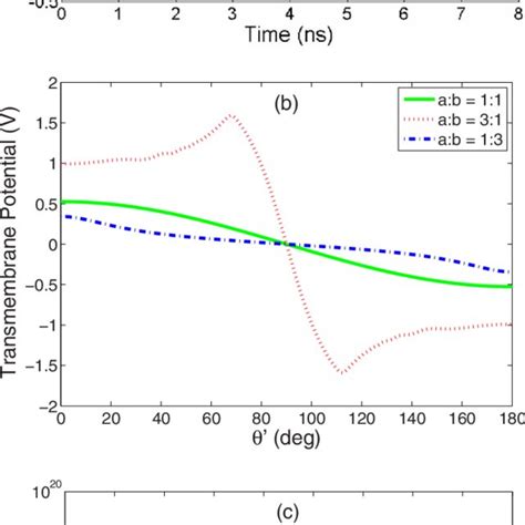 Color Online Schematic Of The Prolate Spheroidal Cell Model For The Download Scientific Diagram