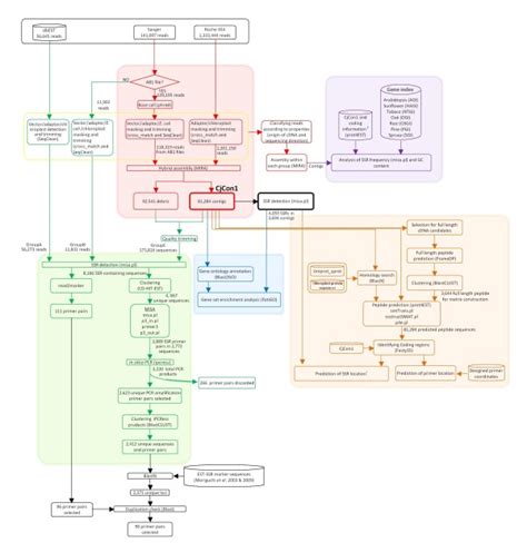 Schematic Representation Of The Bioinformatic Analysis Different