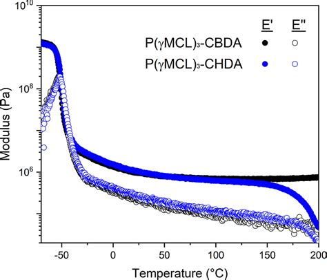 Dynamic Aliphatic Polyester Elastomers Crosslinked With Aliphatic Dianhydrides Acs Polymers Au