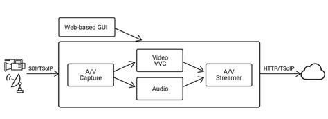 Spin Digital Versatile Video Coding Vvc