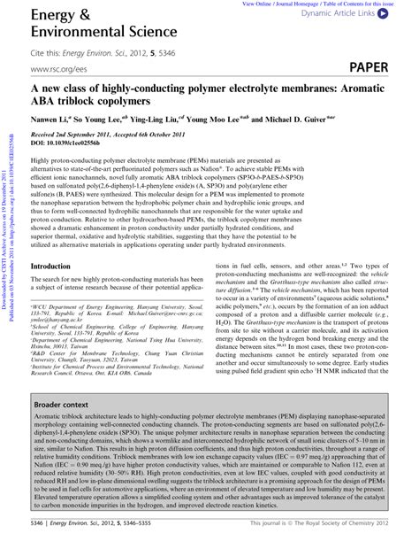 Pdf A New Class Of Highly Conducting Polymer Electrolyte Membranes