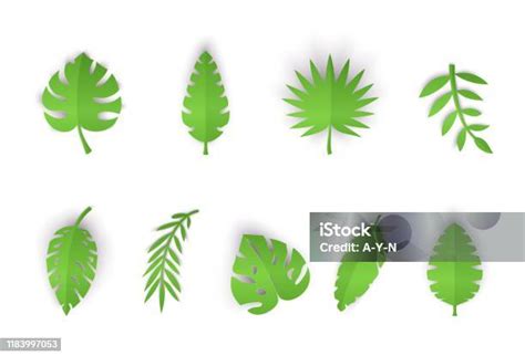 종이 컷 스타일의 여름 열대 잎 세트 흰색 배경에 공예 정글 식물 컬렉션 종이 절단 아트 스타일의 벡터 카드 일러스트레이션 0