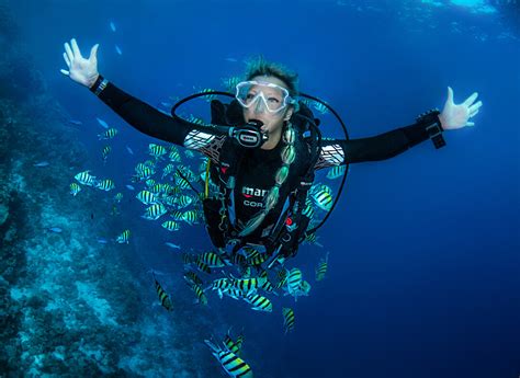 Ssi Diving Course Ssi Scuba Diver Certification
