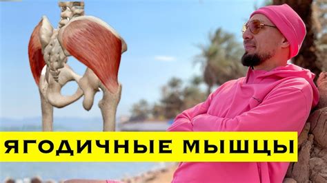 ТОП 8 упражнений на ЯГОДИЧНЫЕ МЫШЦЫ Важные Стабилизаторы Youtube