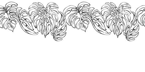 손으로 그린 벡터 잉크 이국적인 몬스테라 잎과 히비스커스 이음매 없는 수평 배너 흰색 배경에 격리되어 있습니다 벽 예술 결혼식 인쇄 직물 표지 카드 관광 여행 소책자를 위한