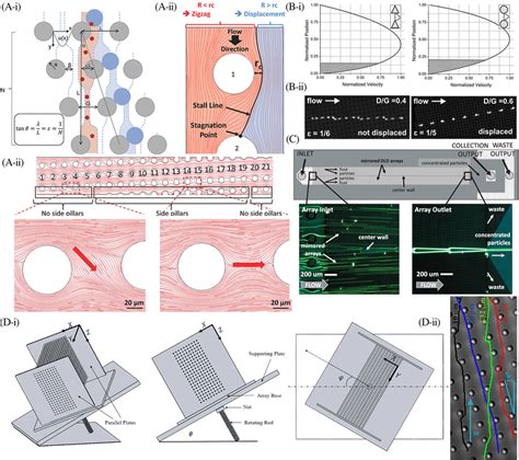 The Dld µ‐chips For An Efficient Ctc Isolation A‐i The Schematic