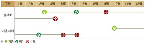 5월에 심는 작물 5월 텃밭 작물 알아보기 농사정보