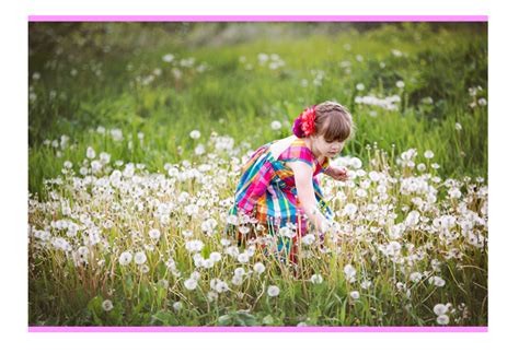 Place A Border On Only Top And Bottom Of Image In Word