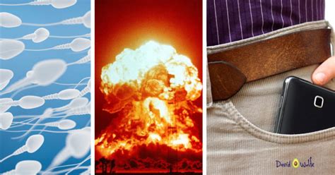 This Is What A Cellphone In Your Pocket Will Do To Your Sperm David Avocado Wolfe