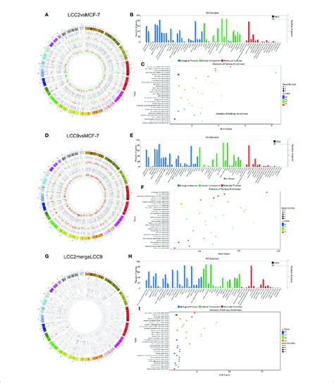 The Circrna Mrna Co Expression Network And Functional Prediction Download Scientific Diagram