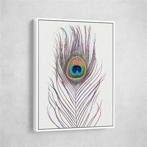 Peacock Feather Wall Art