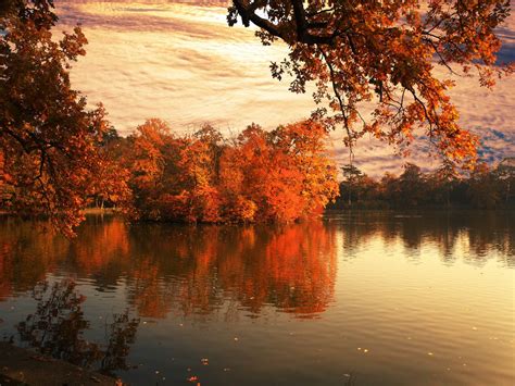 Мерцающие открытки осенний пейзаж 63 фото