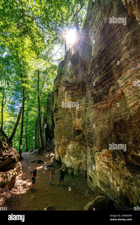 The Devils Gorge Narrow Accessible Gorge Of Sandstone Rocks With