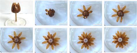 Shape Memory Polymers Smps