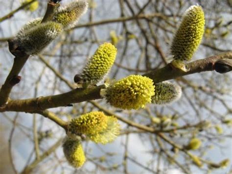 Best Spring Scenes Images On Pinterest National Geographic Your Shot And Shot Photo