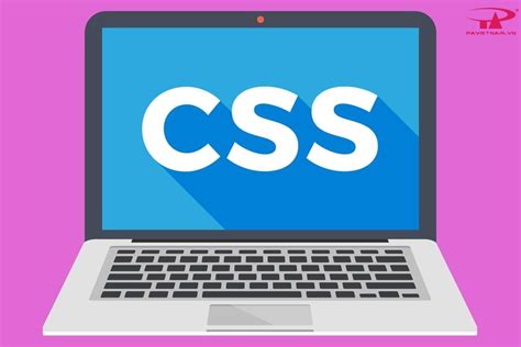CSS là gì 3 loại CSS phổ biến