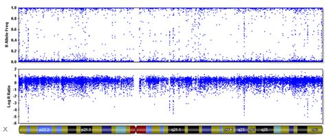 Copy Number And Allelic Variation To Detect Anomalies On X Chromosome