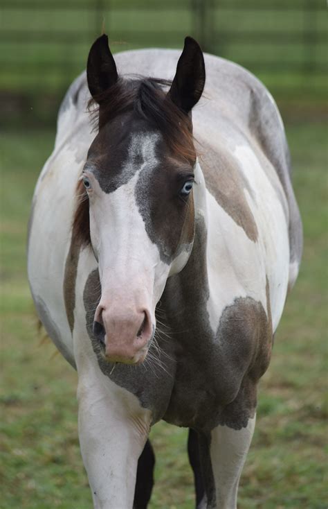 Krk Riptide Warning Fayetteville Tn