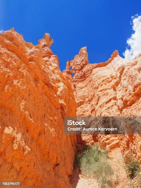 미국 유타 주 브라이스 캐년 국립공원에서 퀸즈 가든 트레일과 나바호 루프 하이킹 개척시대의 서부에 대한 스톡 사진 및 기타 이미지 개척시대의 서부 건조 기후 경관