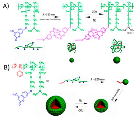 Advances In The Phototriggered Synthesis Of Single Chain Polymer Nanoparticles